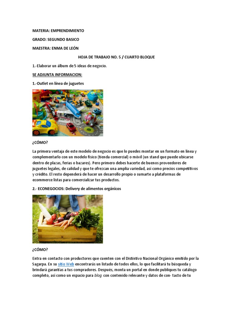 Álbum de 5 Ideas de Negocio. | PDF | Comercio electrónico