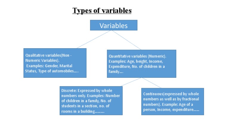 Types of Variables | PDF