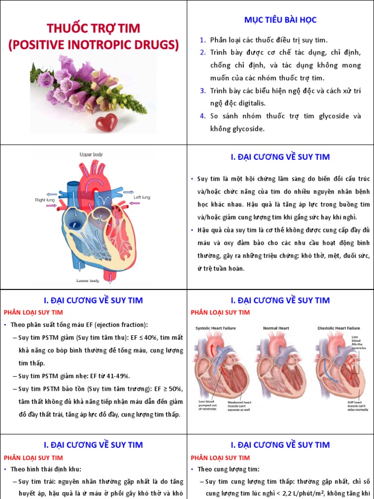 Thuốc trợ tim | PDF