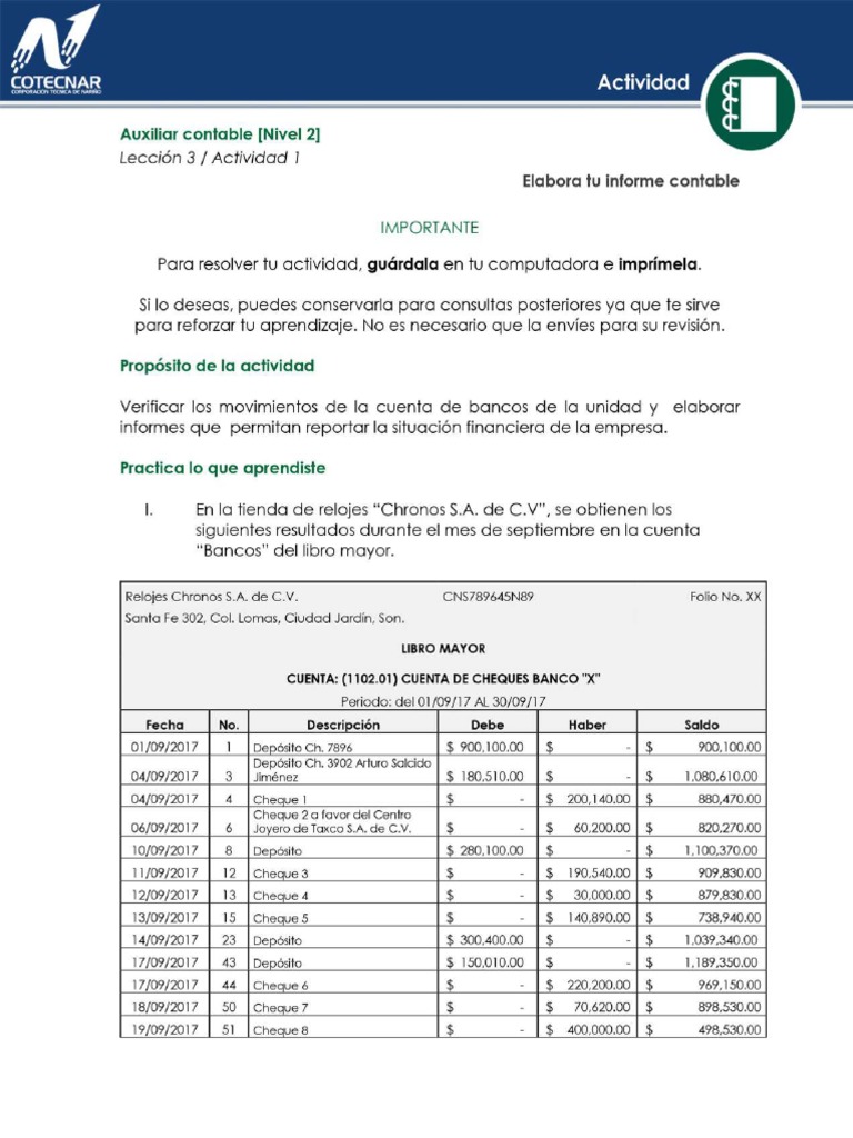 Tarea FActividad - 10 - Elabora - Tu - Informe - Contable | PDF