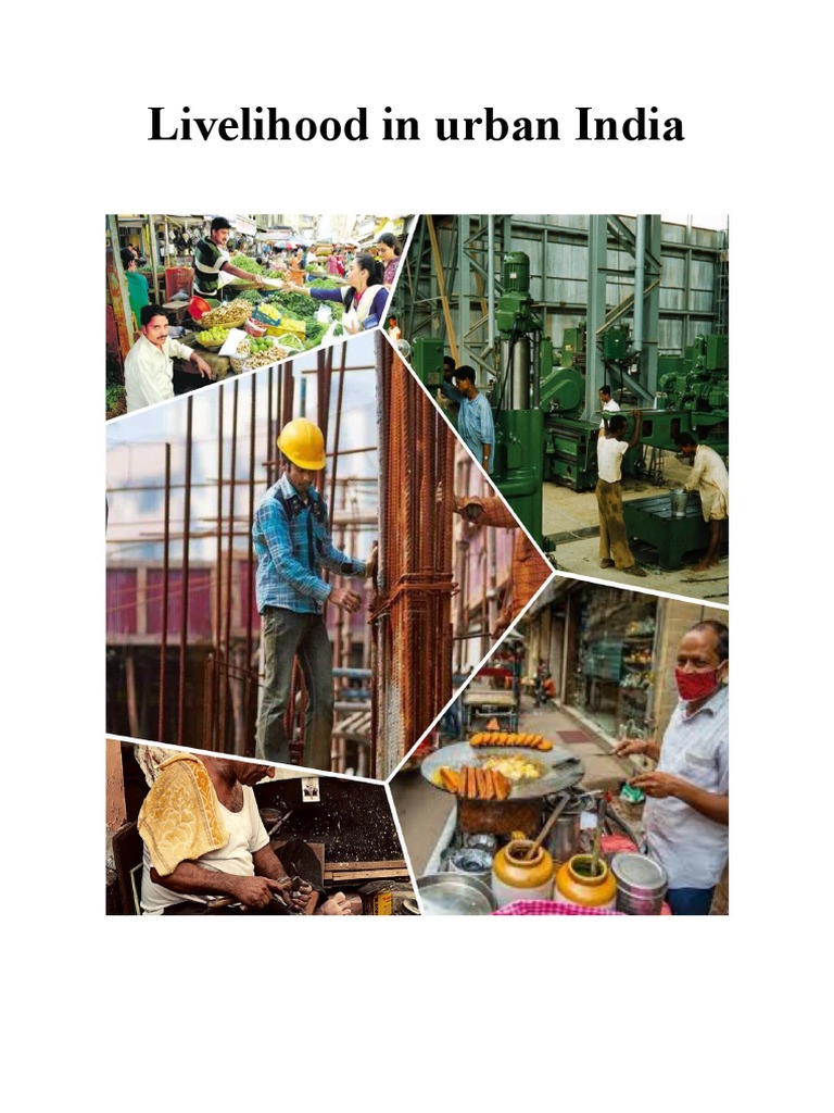Urban Livelihood Types in India | PDF | Salary | Economies