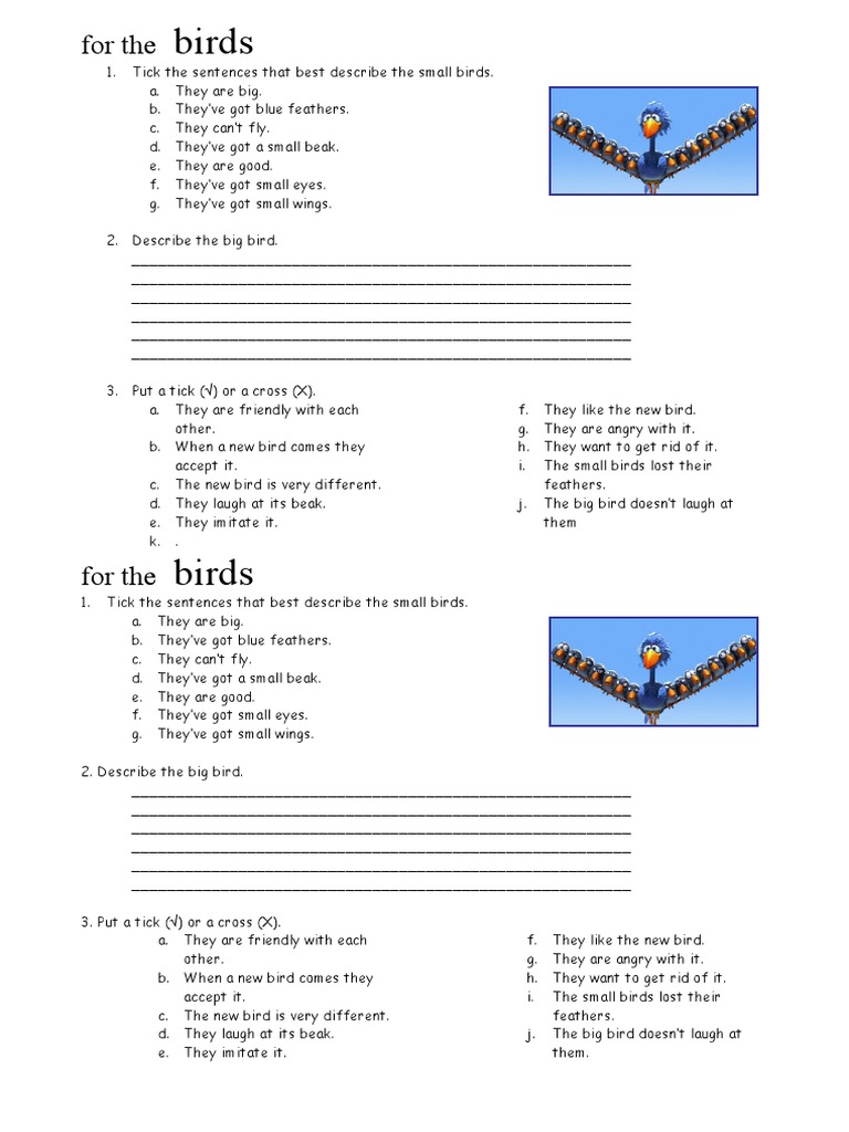 For The Birds Primary | PDF | Birds | Ornithology