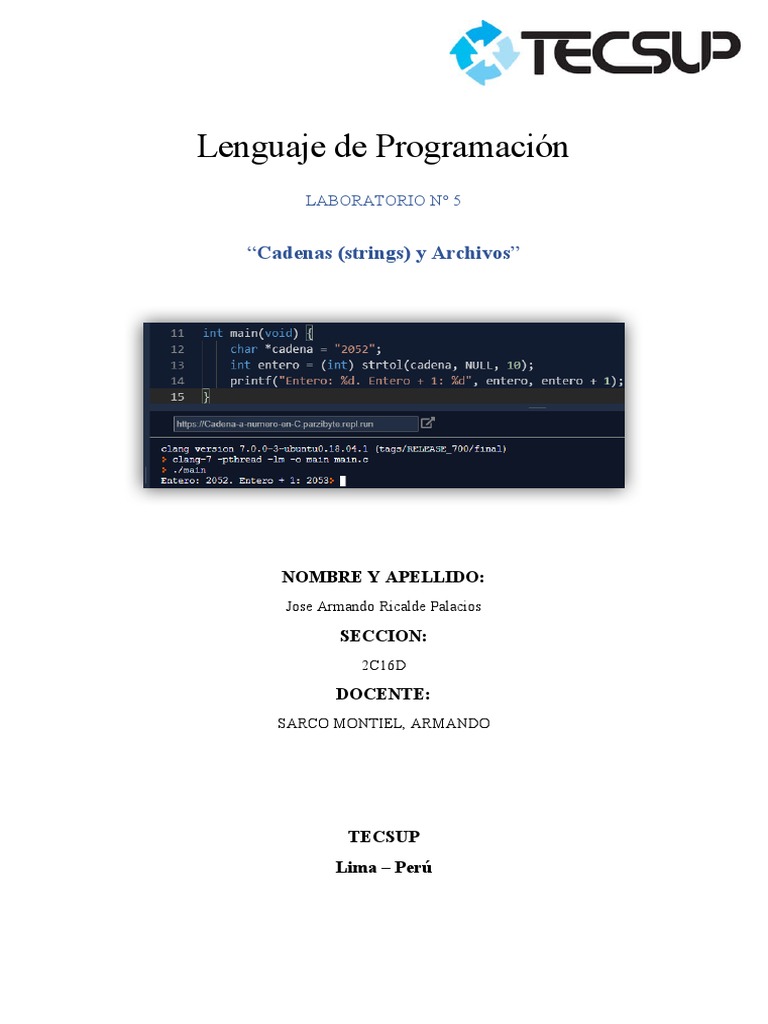 Lenguaje de Programación: "Cadenas (Strings) y Archivos" | PDF | Archivo de computadora | Compilador