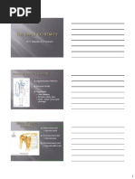 Kinesiology Flashcards, 3E - Lippert, Lynn S., Minor, Mary Alice ...