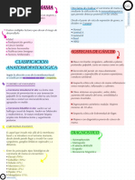 CAPÍTULO 17 - Prurigo Por Insectos (Cimiciasis) | PDF | Insecticida ...