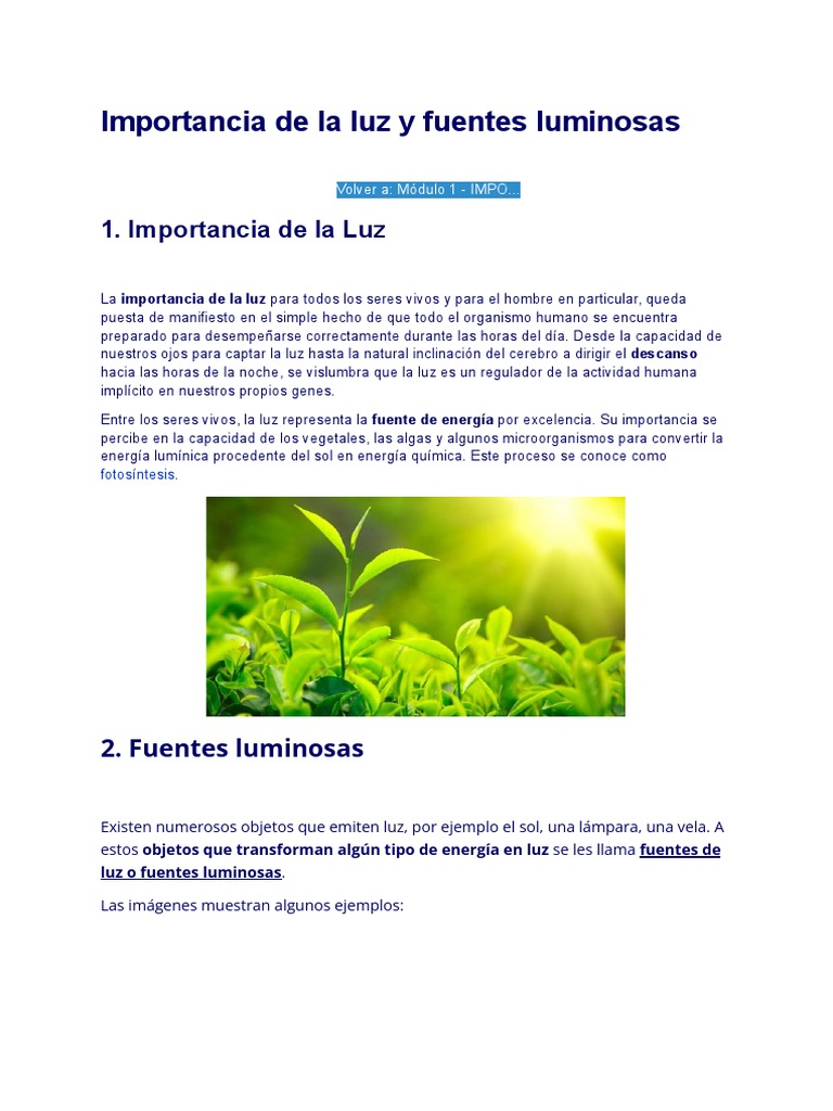 Importancia de La Luz y Fuentes Luminosas | PDF | Ligero | Dom