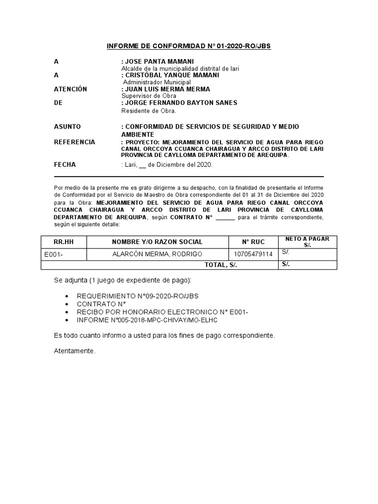 Informe de Conformidad P Tecnico | PDF