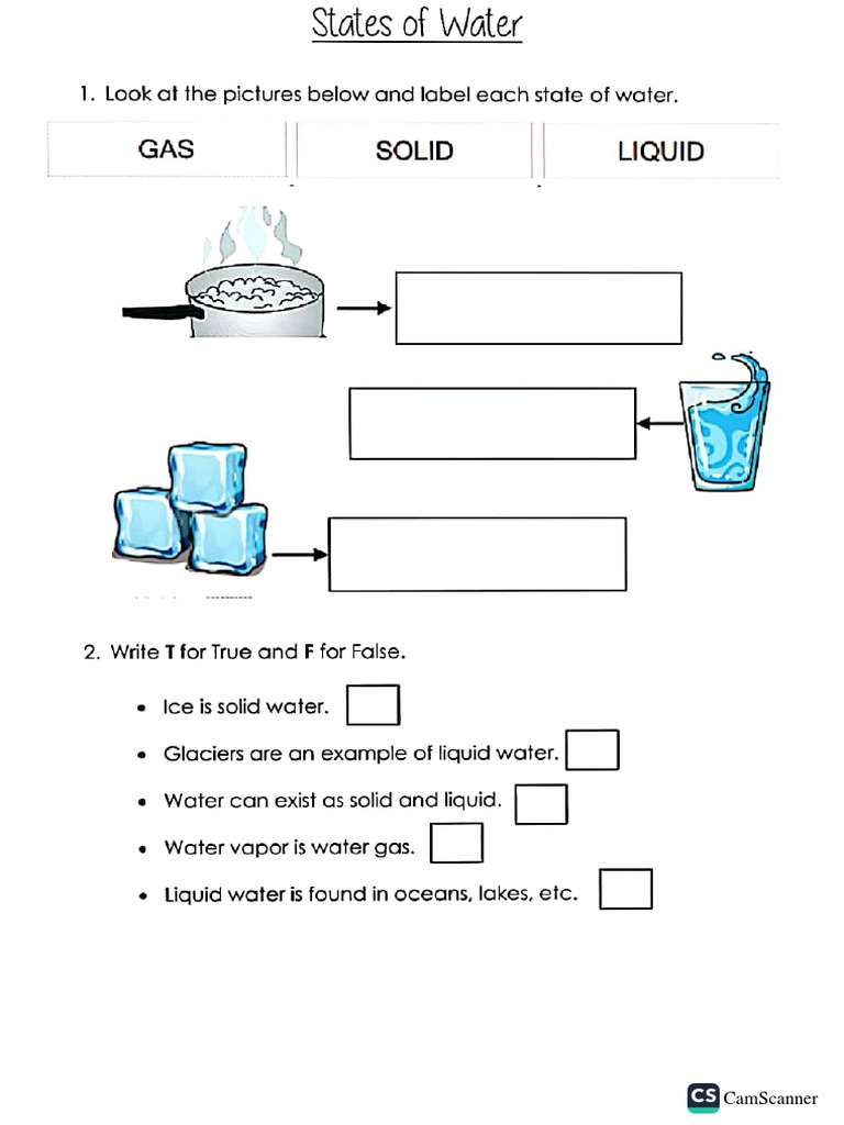 Grade 4 Science Homework | PDF