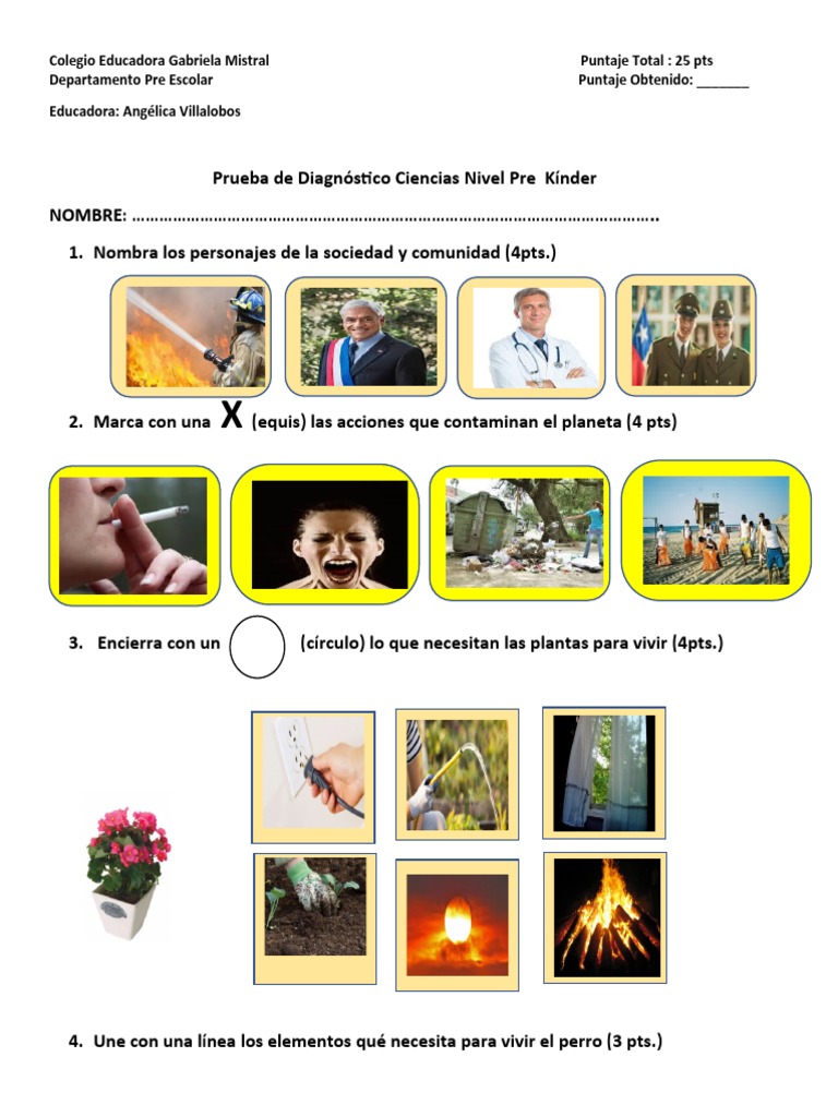 Prueba de Diagnóstico Ciencias Nivel Pre Kínder | PDF