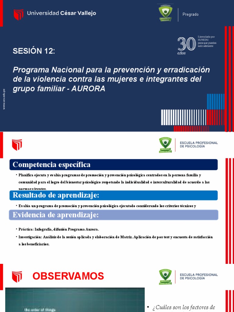 Programa Aurora: Prevención de Violencia Familiar | PDF | La violencia contra las mujeres ...