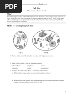 Cell Structure (Grade 6) - Free Printable Tests and Worksheets PDF ...