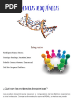 Tablas de Ecuaciones Dimensionales | PDF