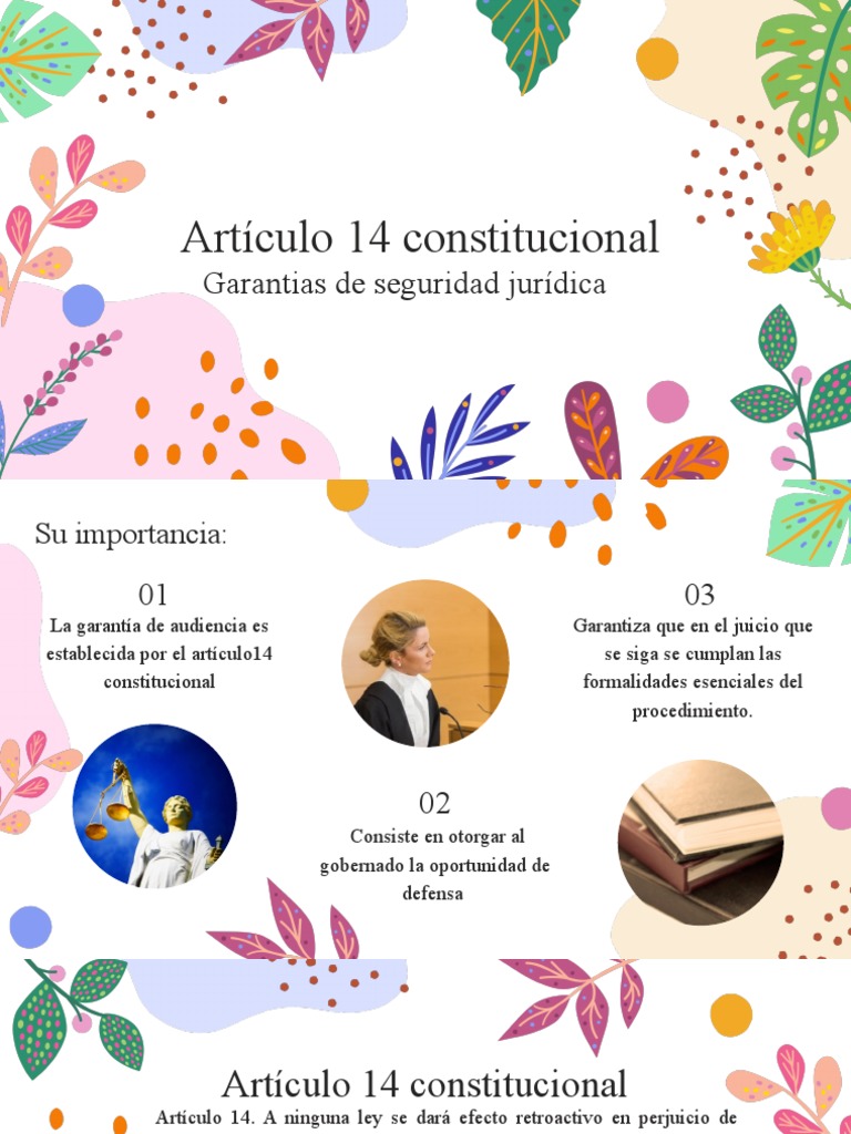 Artículo 14 Constitucional | PDF | Sentencia (ley) | Gobierno