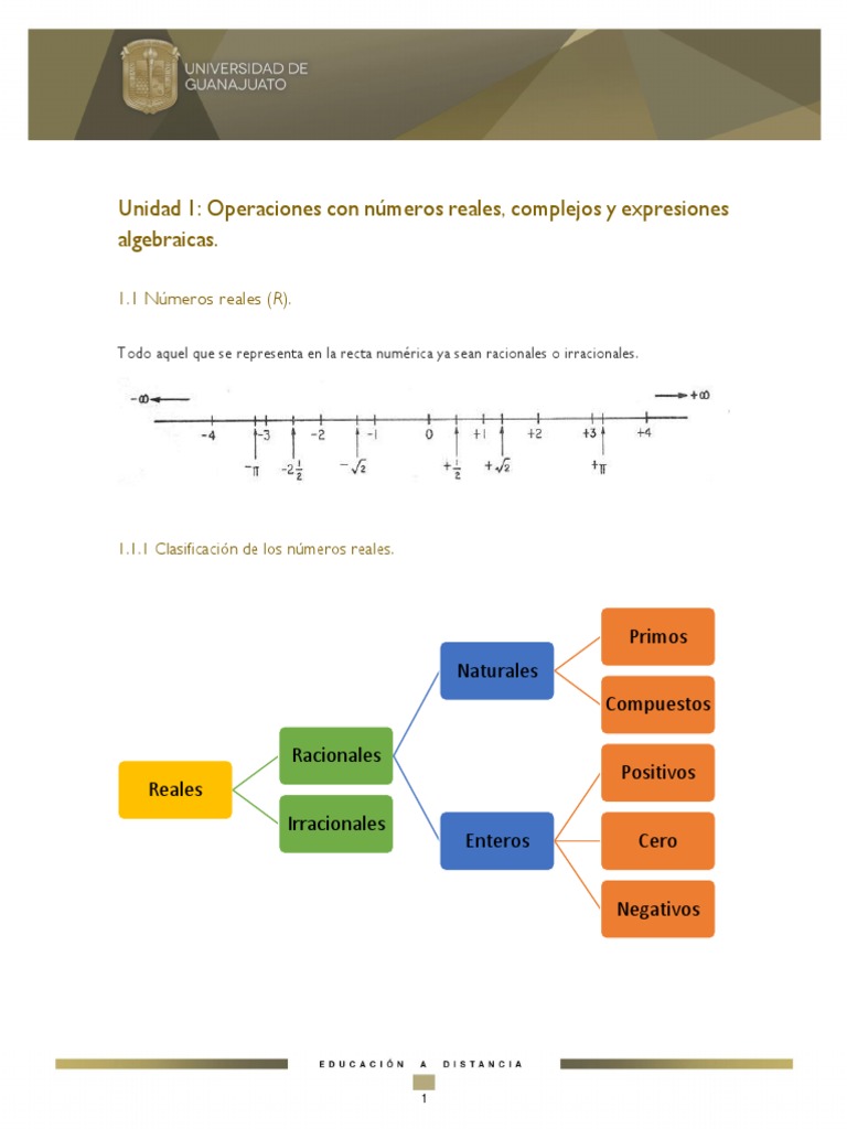 Unidad 1 Operacion Con Numeros Reales Complejos y Expresiones Algebraicas | PDF | Números | Entero