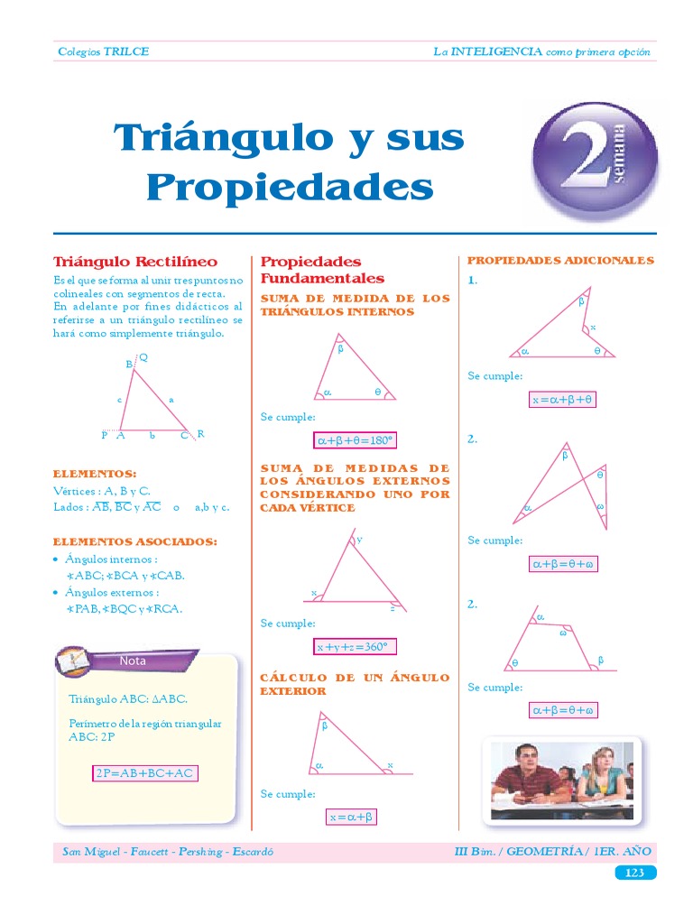 Triángulo y Sus Propiedades | PDF