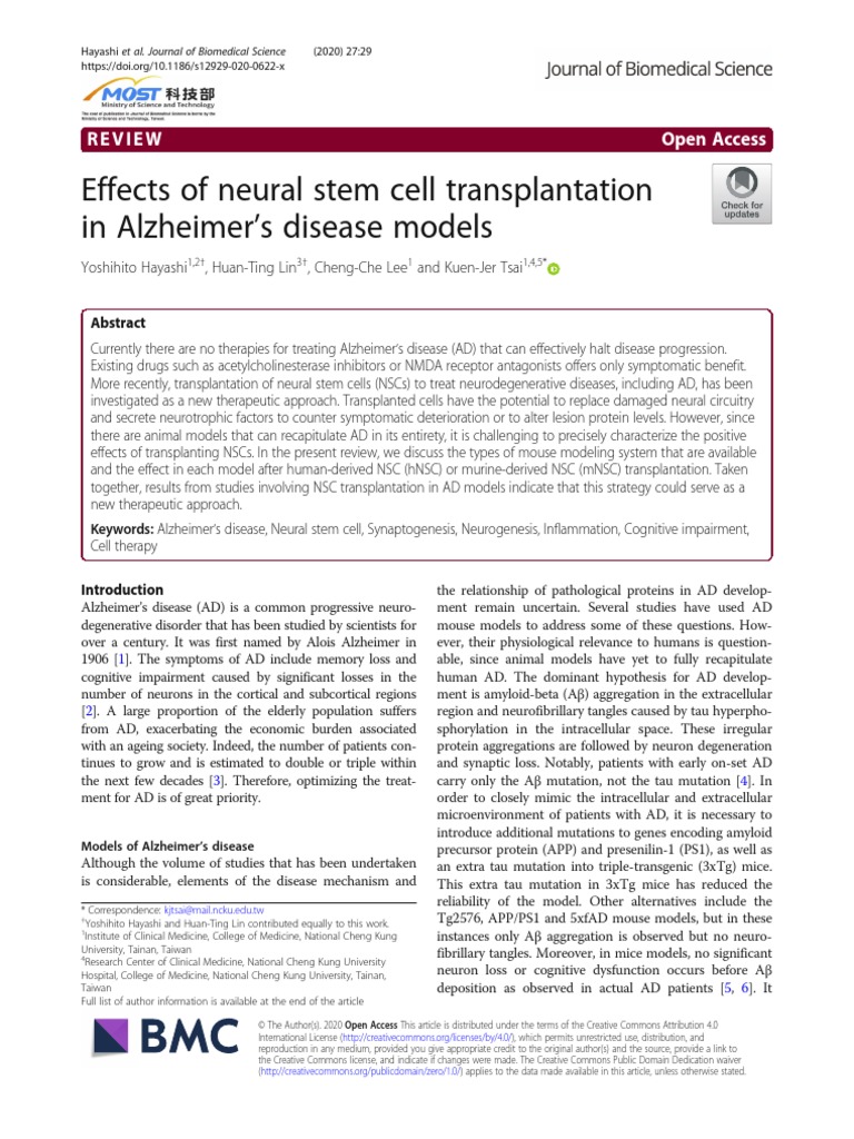 Effects of Neural Stem Cell Transplantation | PDF | Nmda Receptor ...