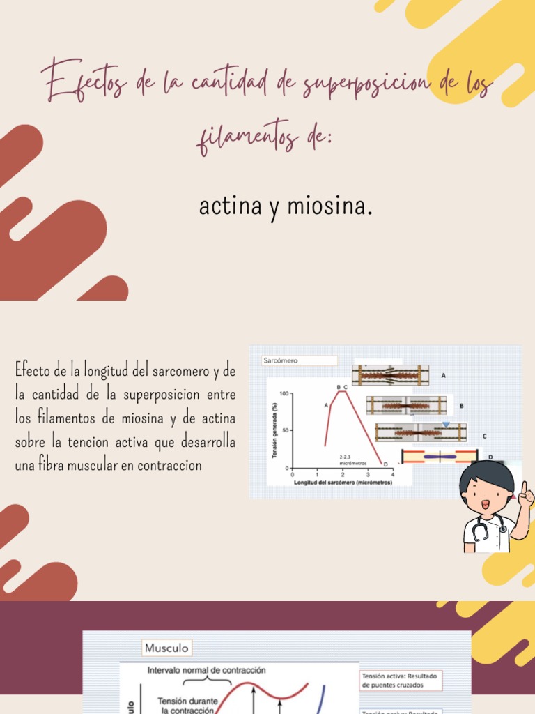 Actina y Miosina | PDF | Informática