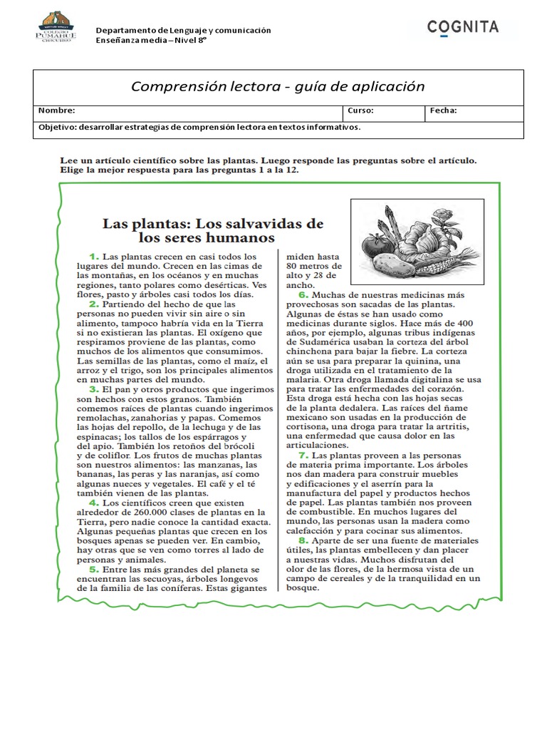Comprensión Lectora - Texto Informativo 8vos | PDF