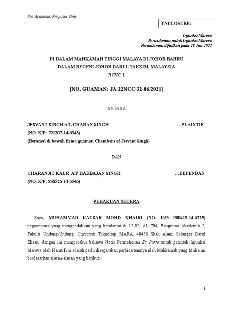 MAREVA INJUNCTION APPLICATION | PDF