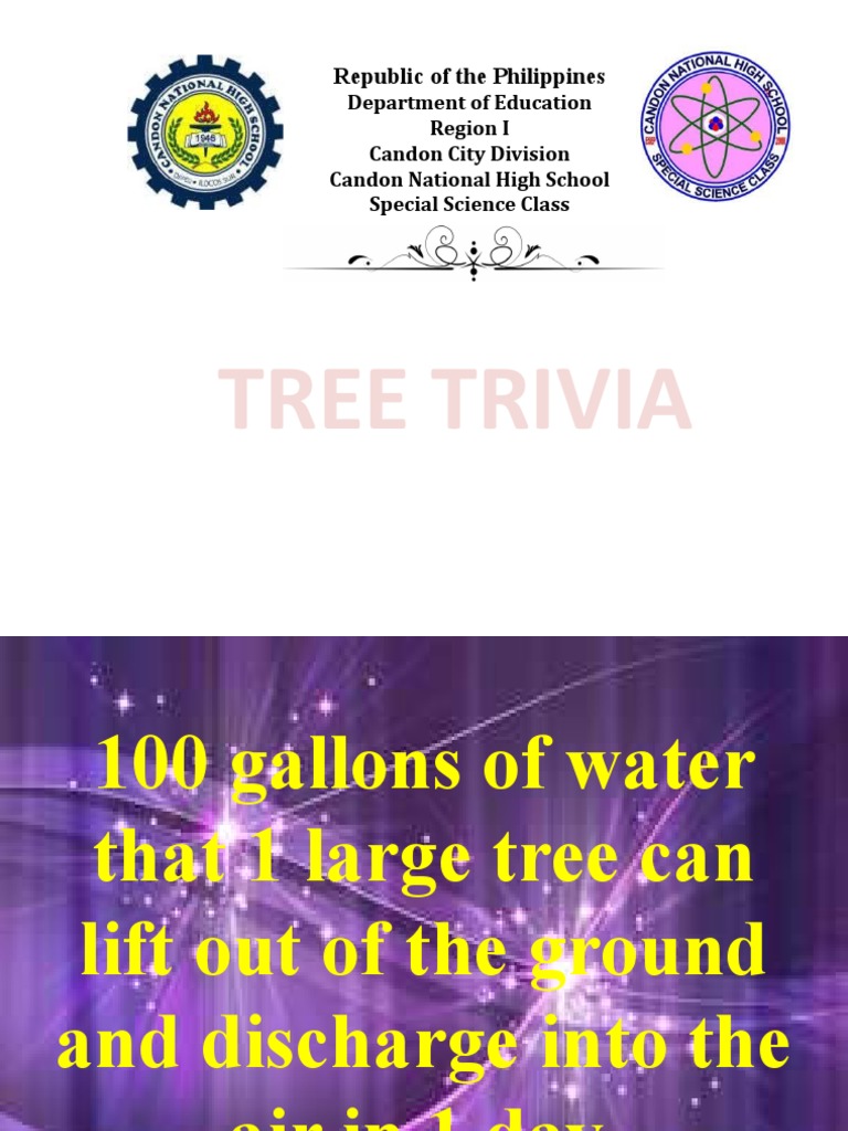 Tree Trivia | PDF | Trees | Soil