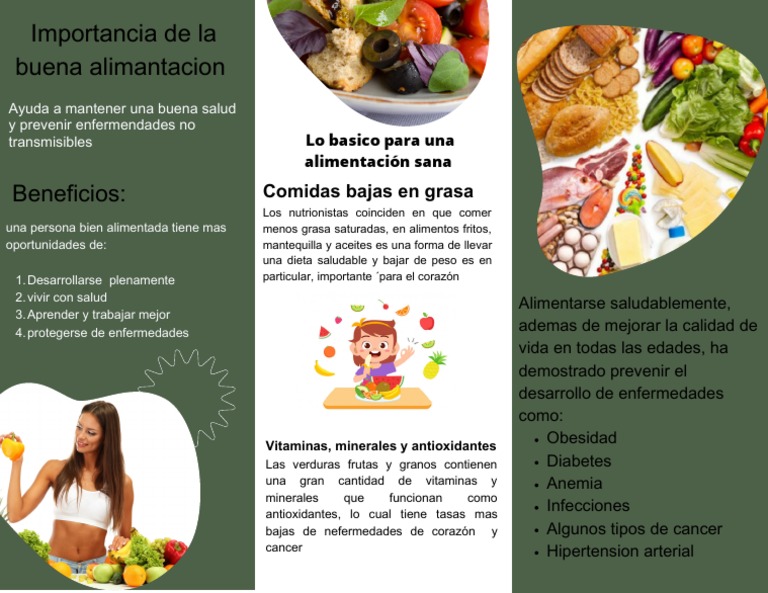 Folleto Comida Saludable | PDF