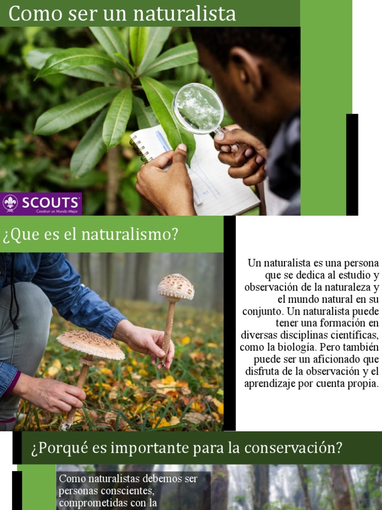 Como Ser Un Naturalista | PDF