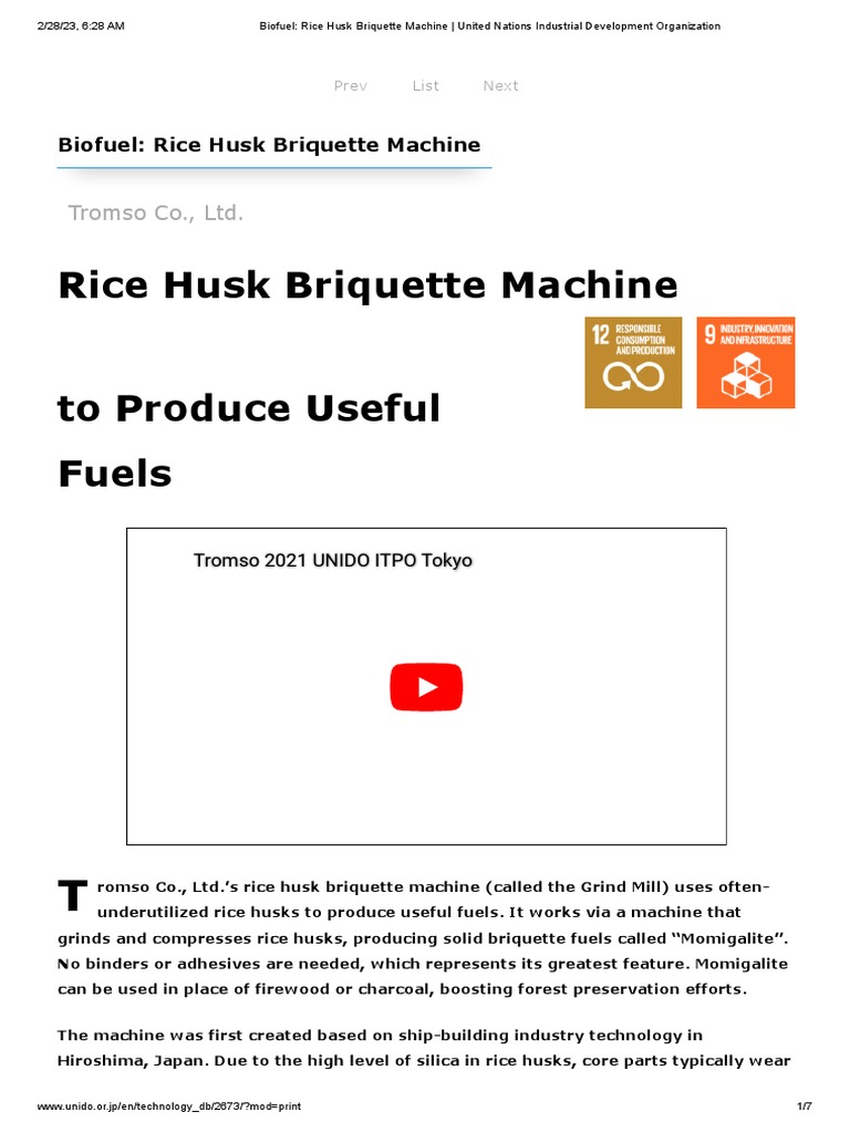 Biofuel - Rice Husk Briquette Machine - United Nations Industrial ...