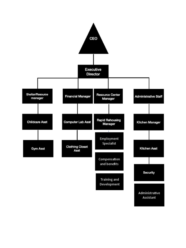 Npo Organizational Chart | PDF