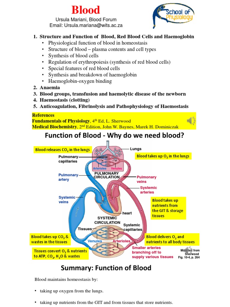 Blood Lecture Slides | PDF | Anemia | Red Blood Cell