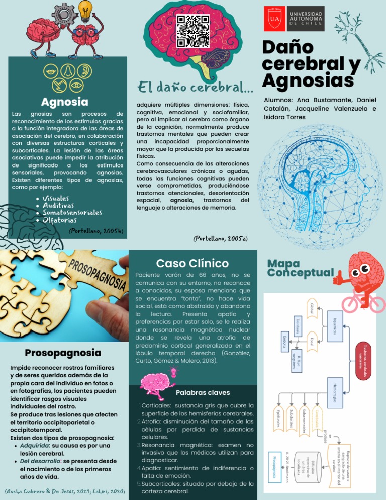 Tríptico Neuropsicología | PDF | Cerebro | Corteza cerebral