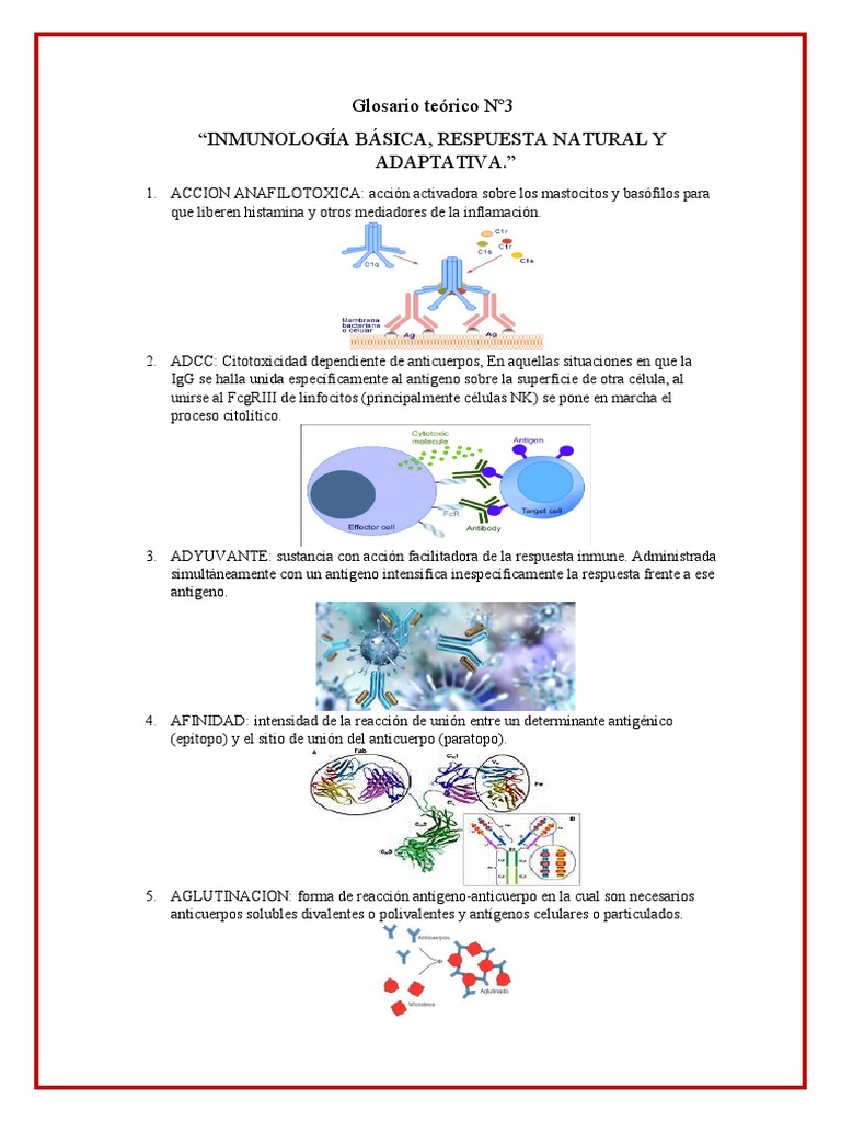 Glosario teórico sobre conceptos básicos de inmunología, respuesta inmune innata y adaptativa ...