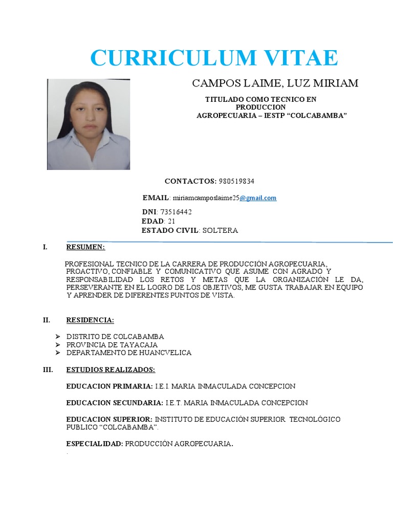 CV Luz | PDF | Economias