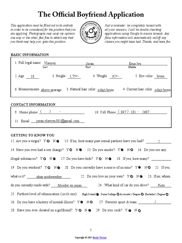 Boyfriend Application | PDF