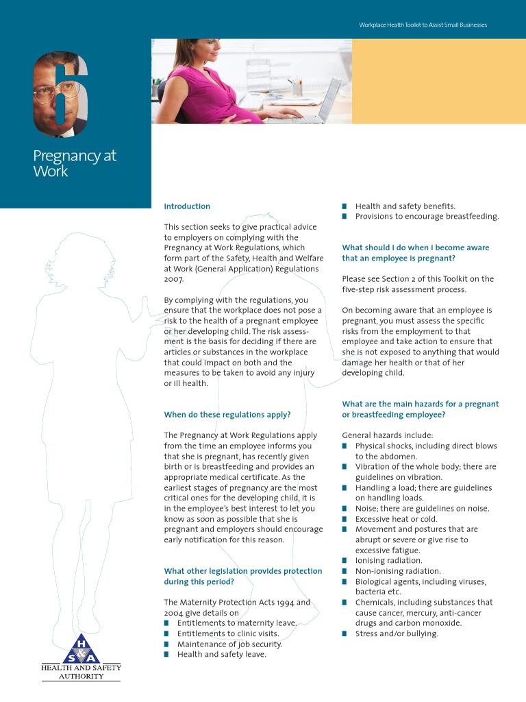 Section 6 Pregnancy at Work | PDF | Pregnancy | Breastfeeding