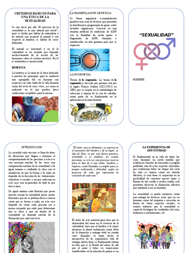 Triptico de La Sexualidad 2 | PDF | Sexualidad | Homo Sapiens