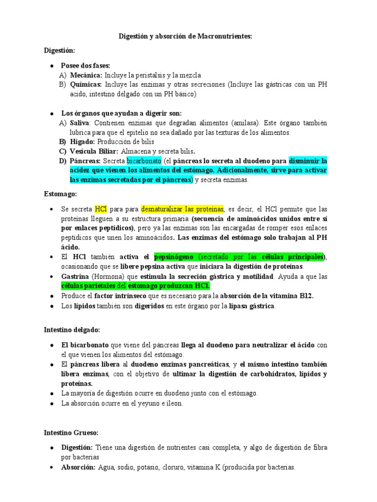 Digestión y Absorción de Macronutrientes | PDF | Digestión | Química