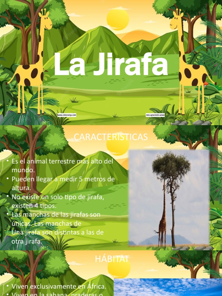 La Jirafa | PDF