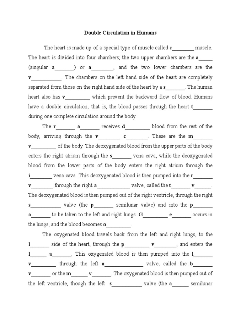 Double Circulation in Humans Worksheet | PDF | Heart | Atrium (Heart)