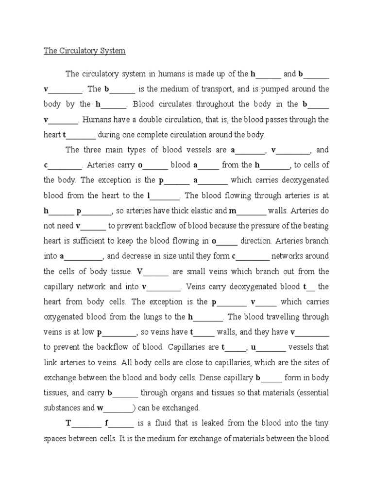 The Circulatory System Worksheet | PDF