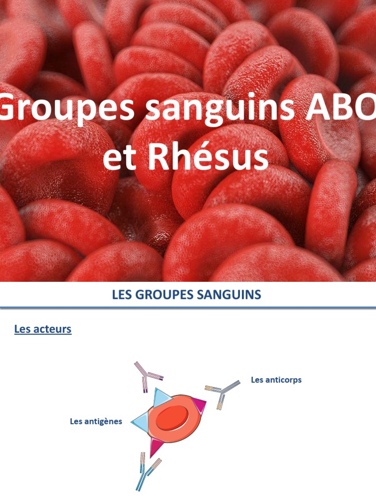 Groupes sanguins ABO et Rhésus expliqués | PDF | Groupe sanguin ...