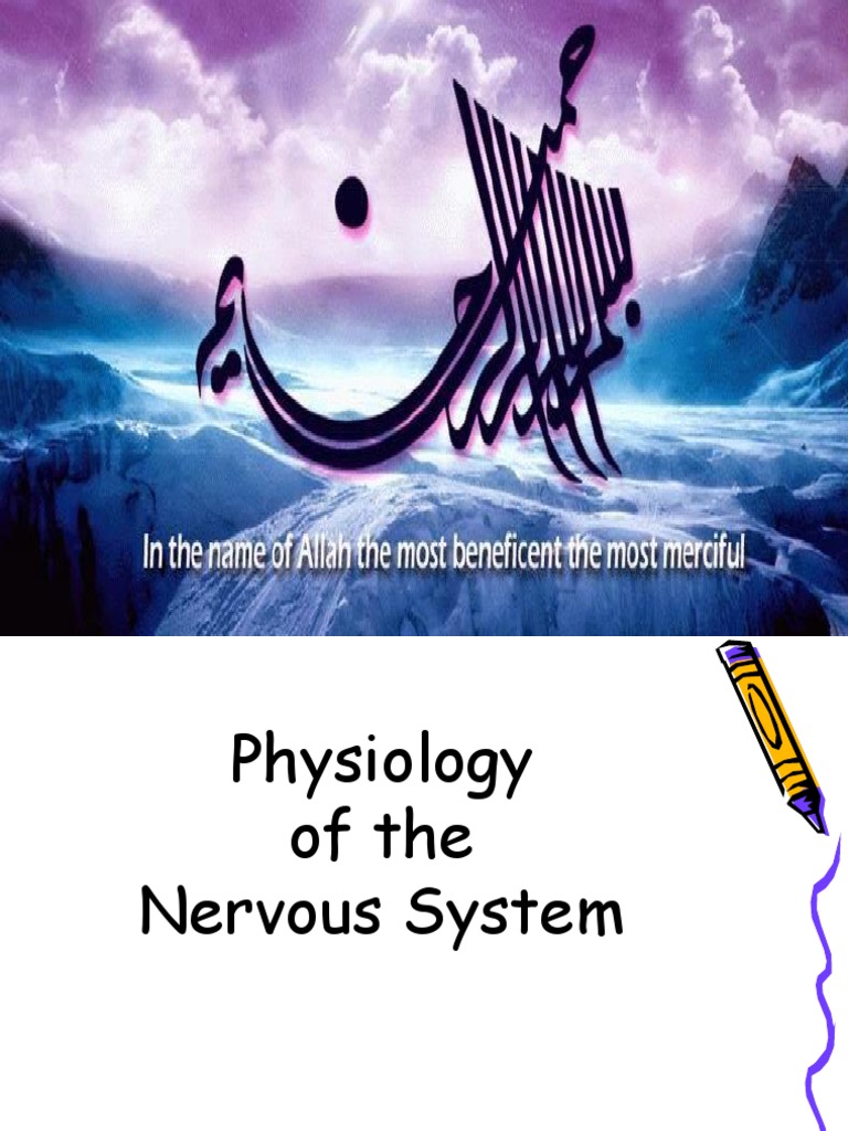 1.physiology of Nervous System DR Hasnain Northwest Univerty Peshawar | PDF | Axon | Neuron