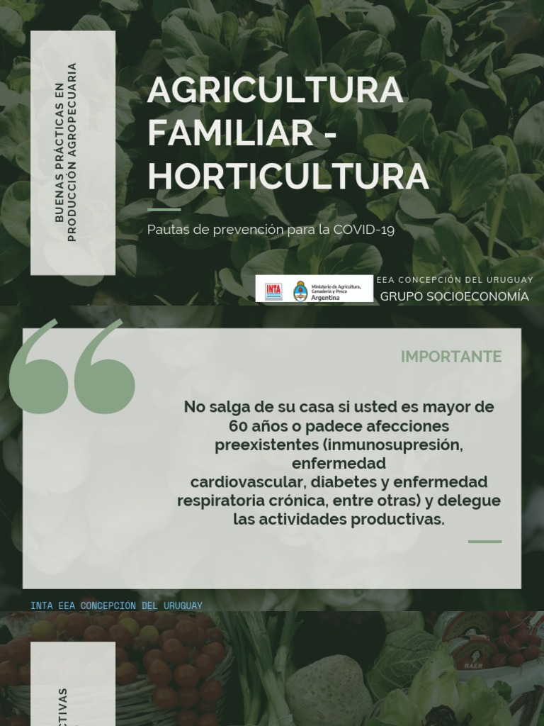 Horticultura - INTA | PDF | Uruguay | Salud pública