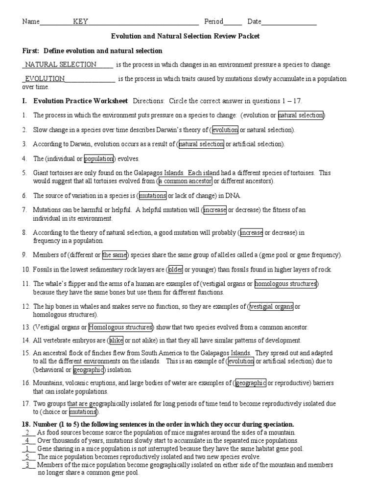 Evolution Review Packet Key Editable | Download Free PDF | Evolution ...
