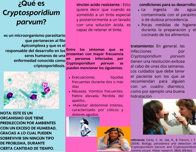 Características y síntomas de la criptosporidiosis causada por ...