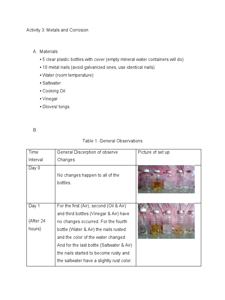 Iron Nail Rusting Experiment Results | PDF | Rust | Corrosion