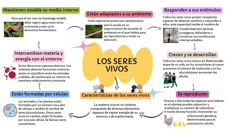 Los Seres Vivos y Sus Caracteristicas | PDF | Organismos | Biología ...