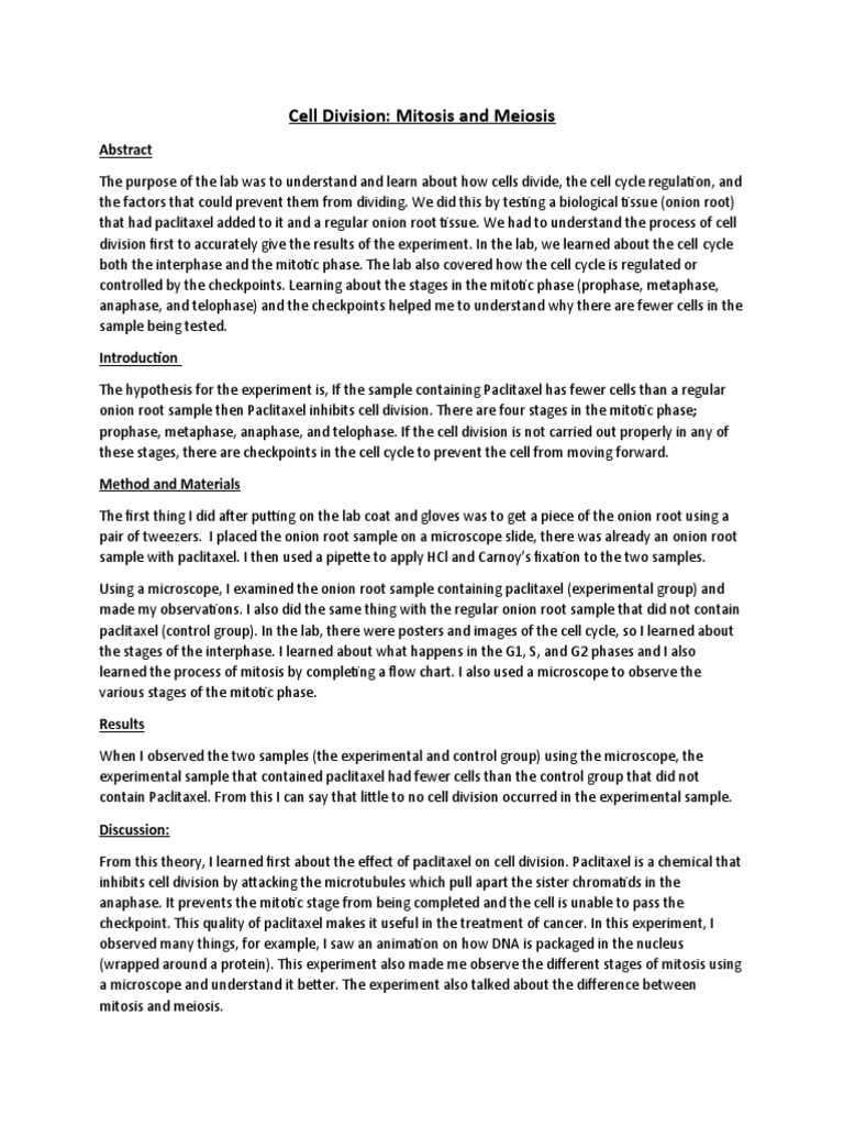 Biology Lab Report | PDF | Mitosis | Biological Processes