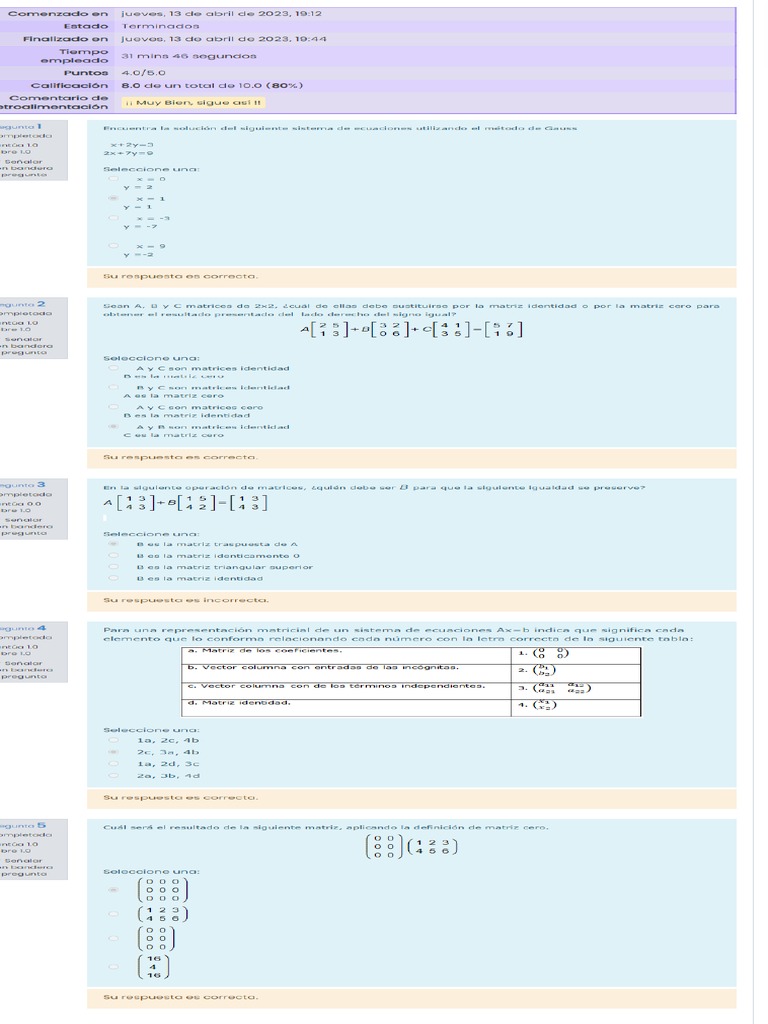 Examen Segundo Parcial Segunda Vuelta Revisión Del Intento | PDF