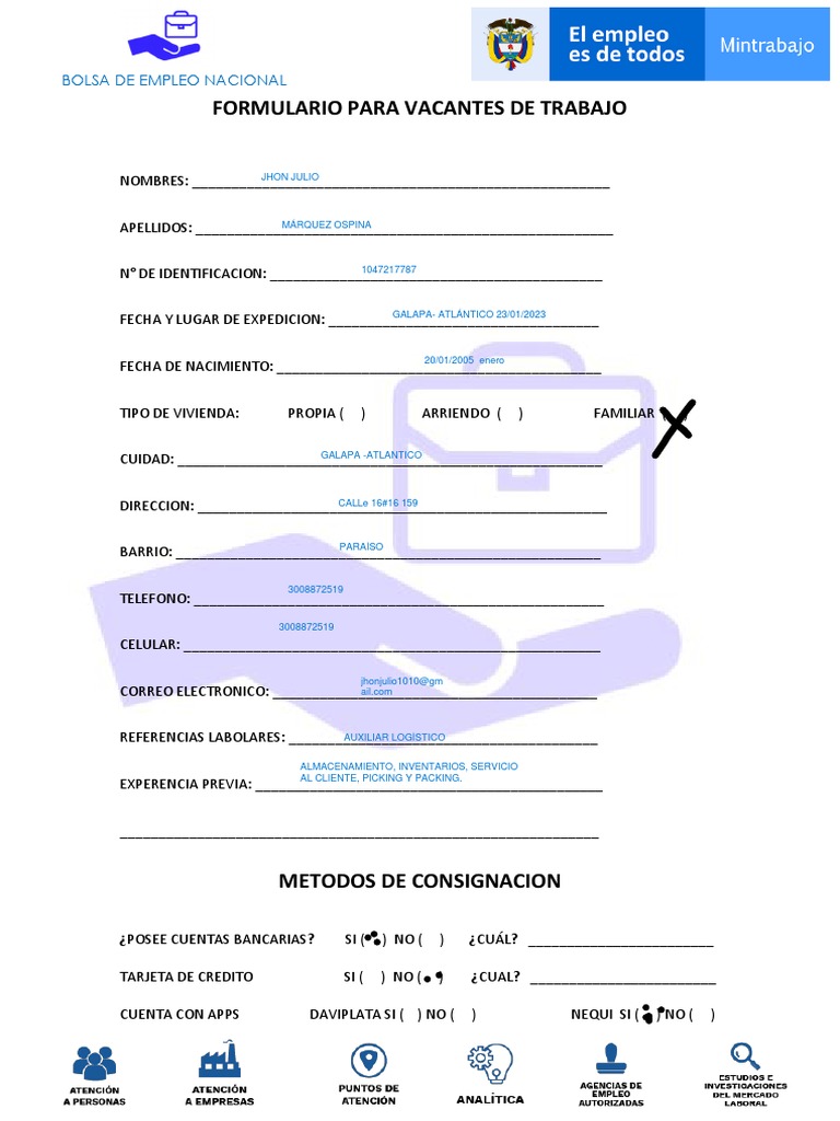 Formulario para Vacantes de Trabajo: Bolsa de Empleo Nacional | PDF ...