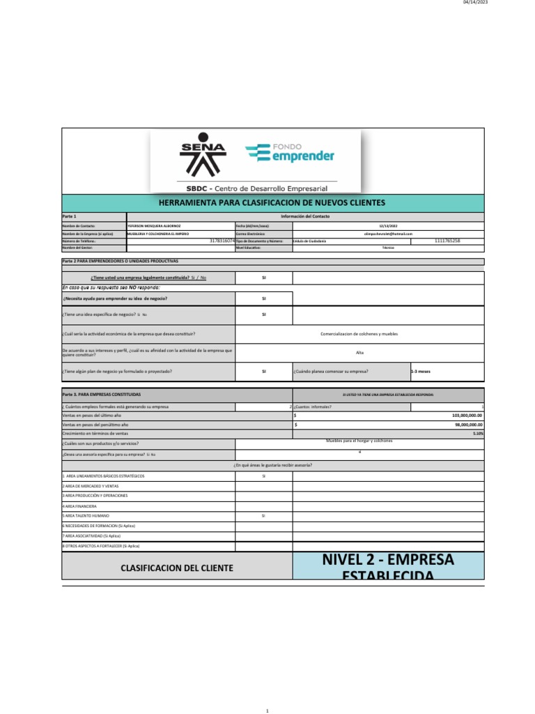 Clasificación de Clientes v1 | PDF | Marketing | Business